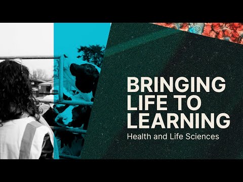 Health and Life Sciences at the University of Bristol | Bringing Life to Learning