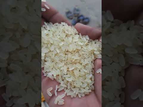Jaya Rice - Wholesale Price & Mandi Rate for Preboiled Jaya Rice
