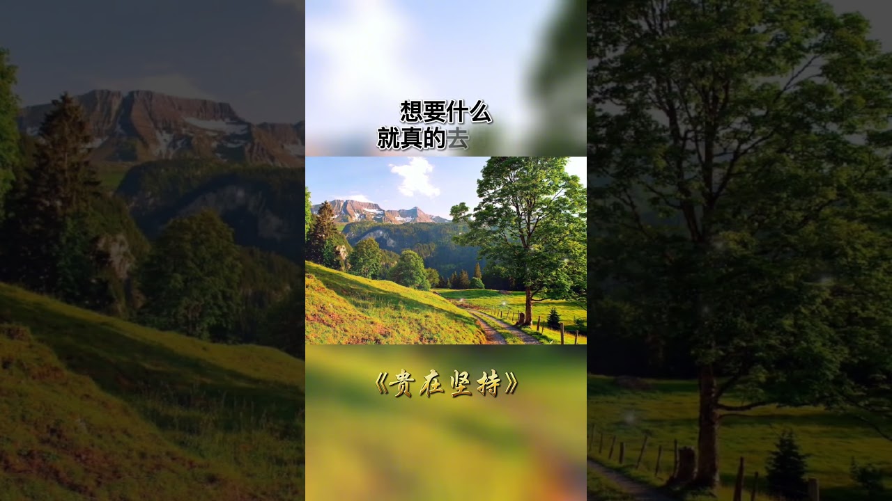 00487/人生最可悲的事情，莫过于胸怀大志却又虚度光阴，聪明不足又习惯拖延，学历不高又不肯学习，不满意自己又自我安慰... #人生感悟 #人生智慧 #心灵感悟 #生活感悟 #正能量