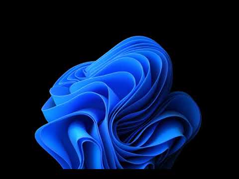 NEW LEAKED Animated Windows 11 Wallpaper!