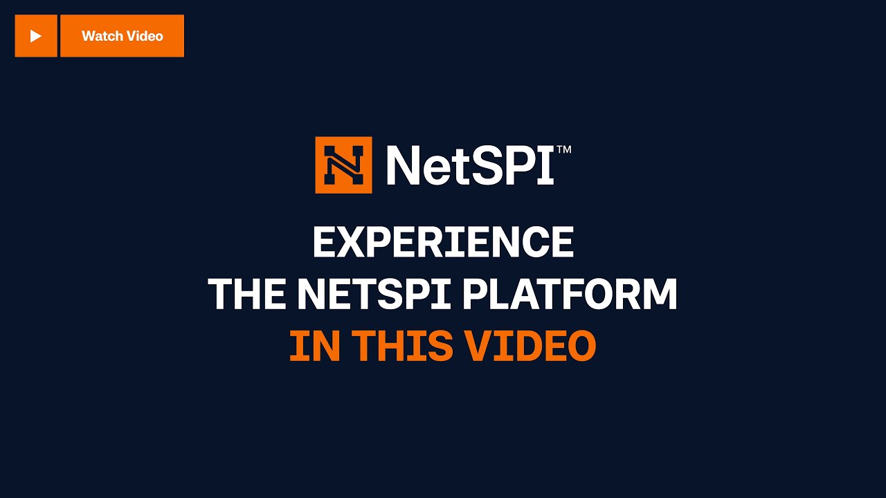 Experience The NetSPI Platform