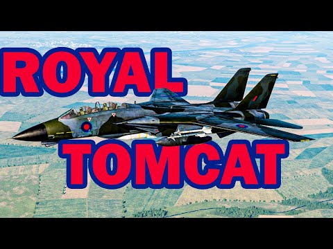 Royal Tomcat RAF F-14 – Pilotphotog
