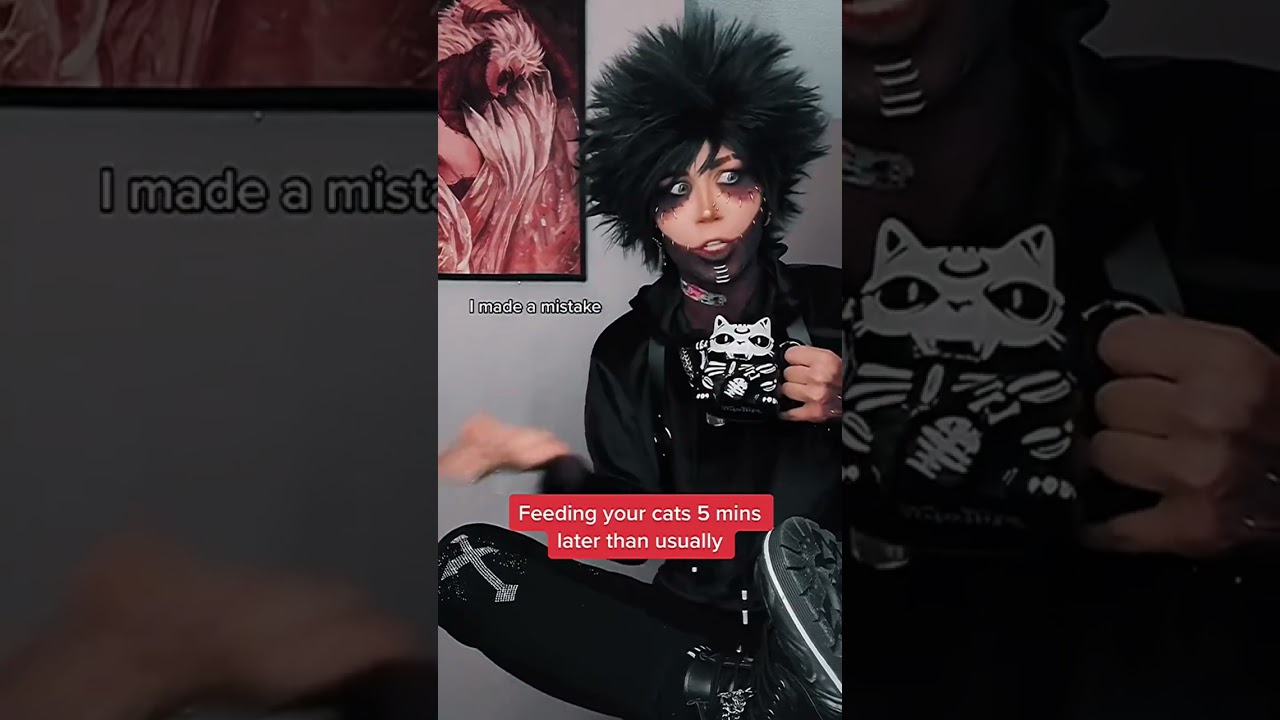 Cats Be Like 🤣 #dabi #myheroacademia #bnha #bokunoheroacademia #mha #cosplay #touyatodoroki #shorts