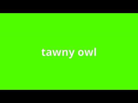 what is the meaning of tawny owl