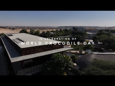 Beneath the Sand: Nile Crocodile Legacy | Conservation efforts at Dubai Crocodile Park