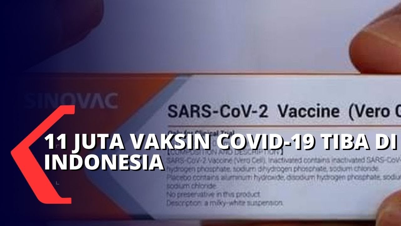 11 Juta Dosis Vaksin Sinovac Tiba di Indonesia