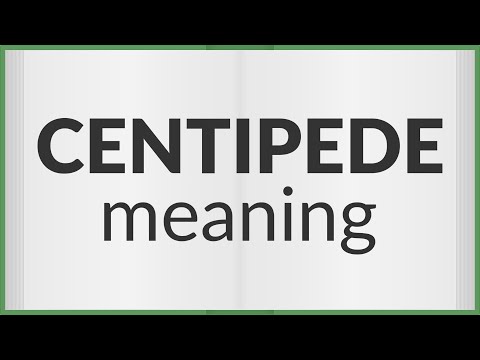 Centipede | meaning of Centipede
