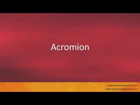 Pronunciation of the word(s) "Acromion".