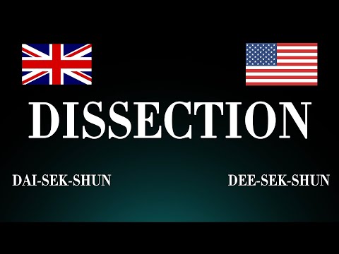 Learn How to Pronounce 'Dissection' Perfectly: UK vs USA (Medical Term Pronunciation)
