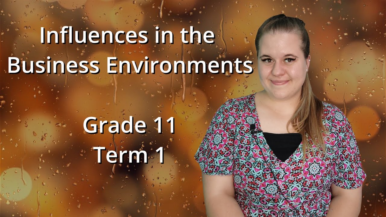 Understanding Influences in Business Environments for Grade 11 Business ...