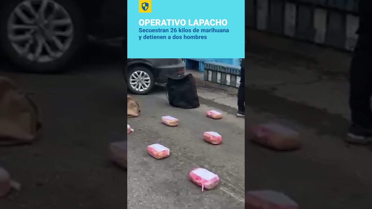 Operativo Lapacho: Secuestran 26 kilos de marihuana y detienen a dos hombres