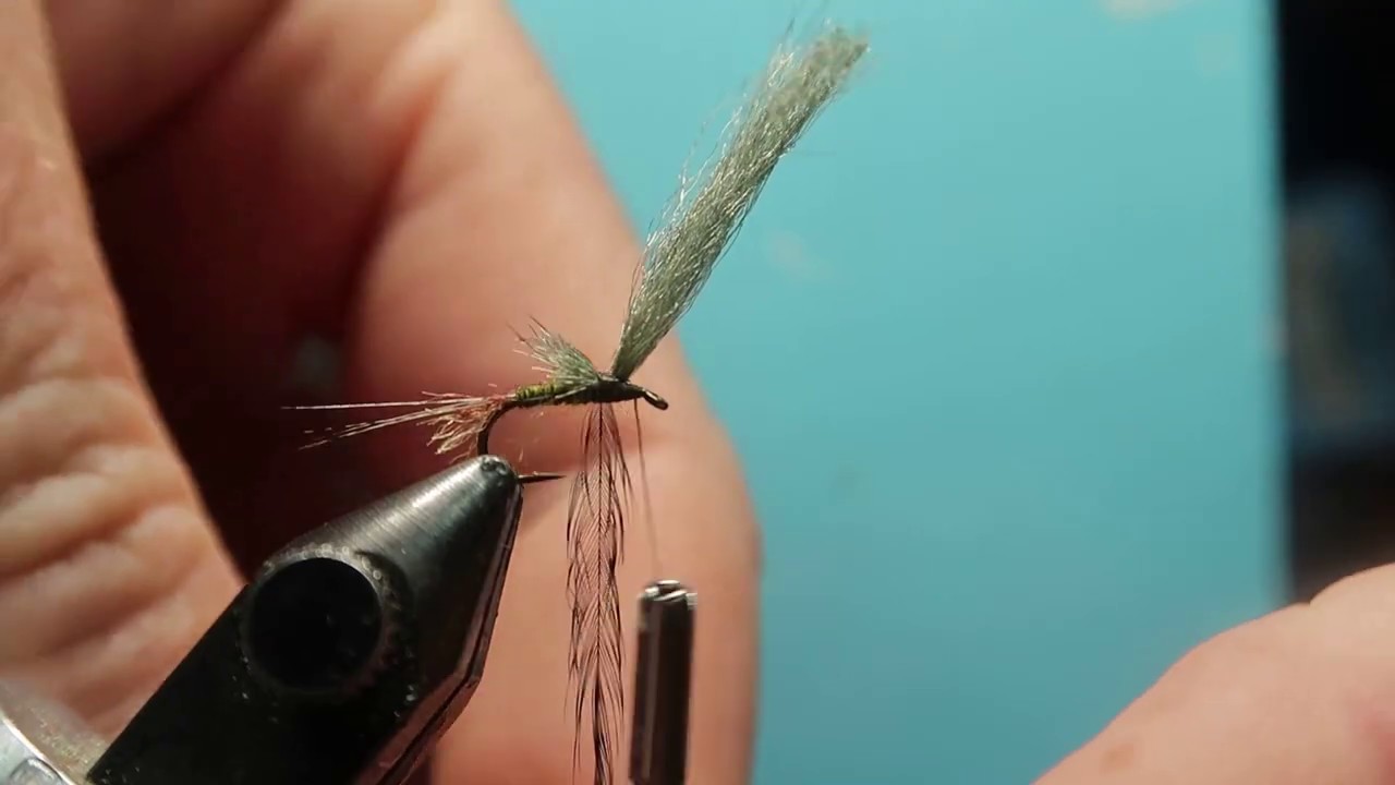 BWO Blue Winged Olive fly, John Johnston, Banbridge angling club, Dromore angling club