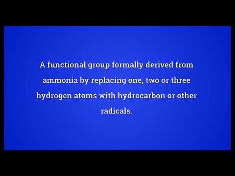 Amine Meaning