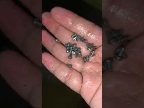 Phillips Pan Head Screws
