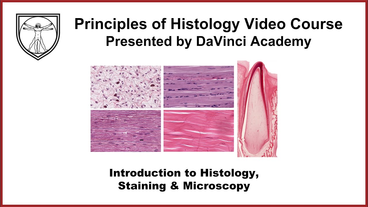 Introduction to Histology, Staining, and Microscopy