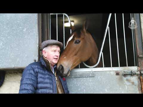 Q & A With John Quinn, Trainer of BC20 Contender Safe Voyage