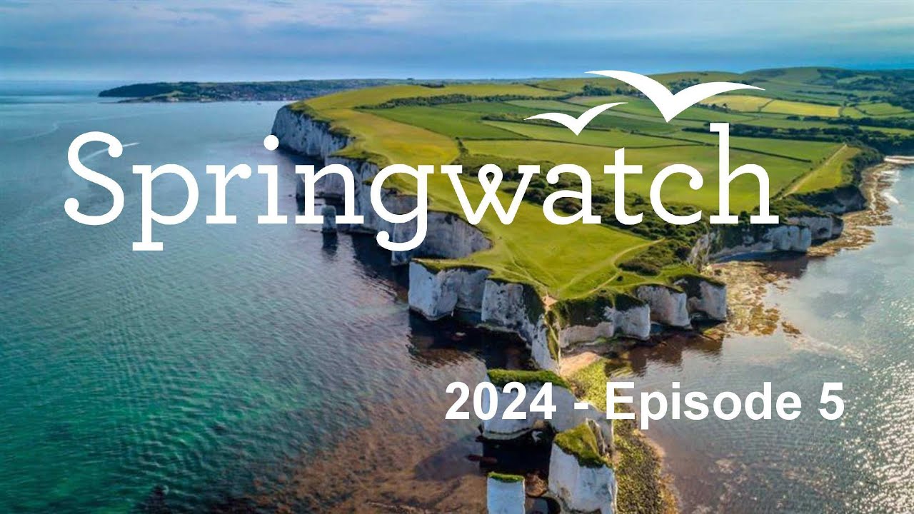 Springwatch 2024   Episode 5