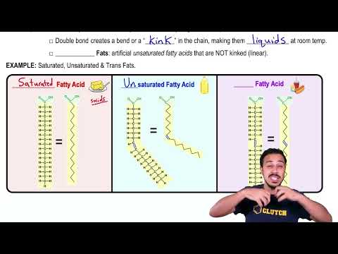 Fatty Acids in 7 mins - High School Biology Lesson, Lipids Biomolecules
