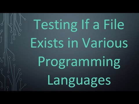Testing If a File Exists in Various Programming Languages