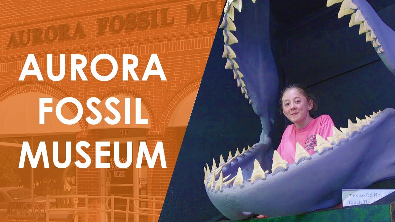 Aurora Fossil Museum | North Carolina Weekend | UNC-TV