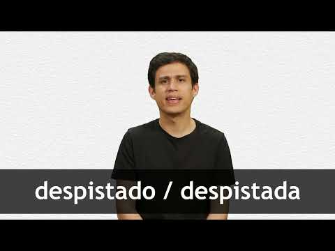 English Translation of “DESPISTADO” | Collins Spanish-English Dictionary