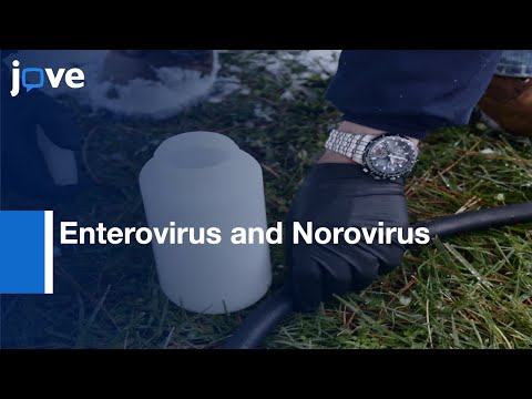 Enterovirus and Norovirus Detection in Water by RT-qPCR | Protocol Preview