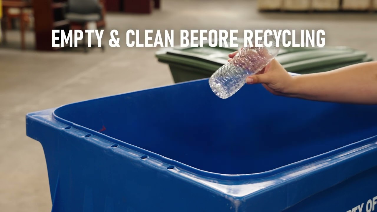 Office Recycling + Waste Sorting