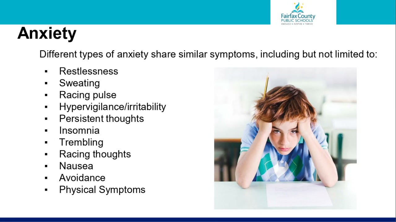 School Refusal, Anxiety, and Special Education Supports