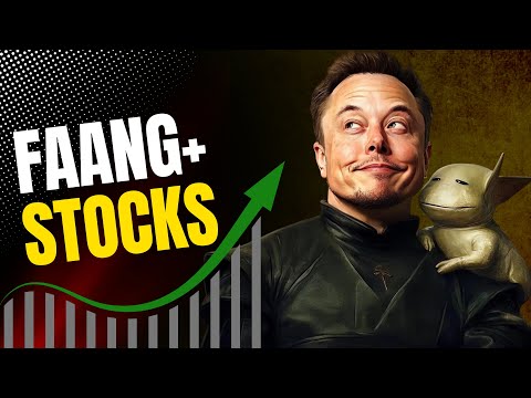 What are FAANG+ Stocks? You definitely need to know!