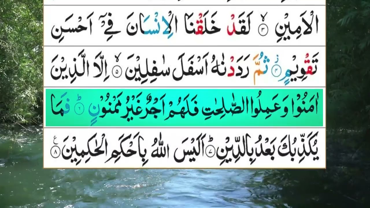 Surah At Tin The Fig سورة التين Sheikh Mishari Rashed al Afasy