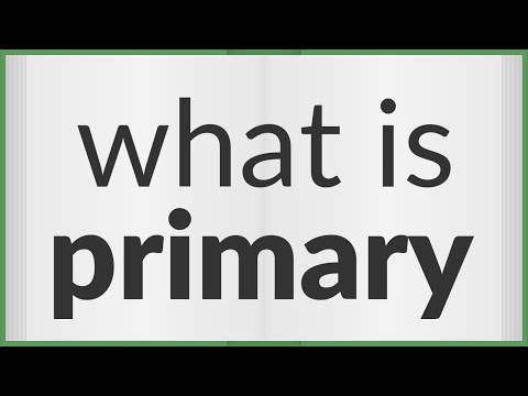 Primary | meaning of Primary
