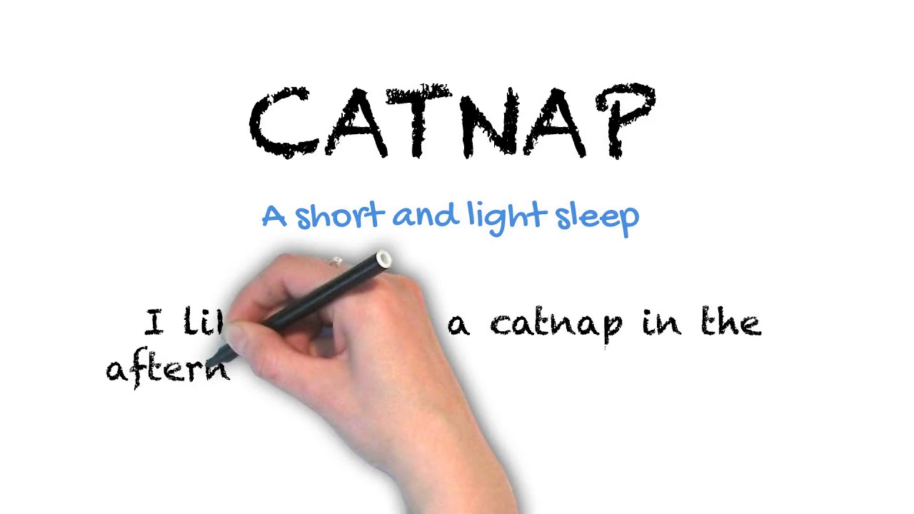Catnap | Ask Linda! | Idioms