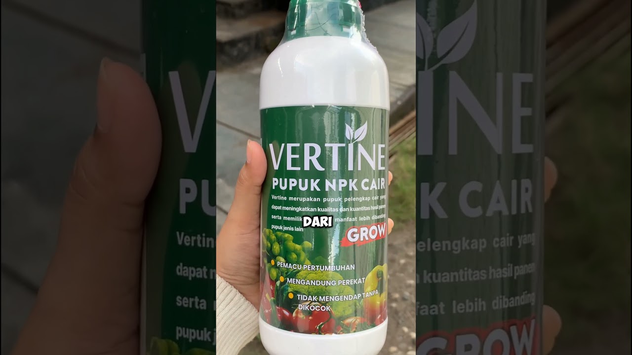 Pupuk NPK Cair, NPK CAIR VERTINE NPK Penyubur Tanaman Padi, Pentingnya NPK Seimbang Saat Musim Hujan