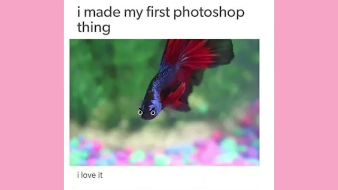 Late Night Tumblr Posts 2025