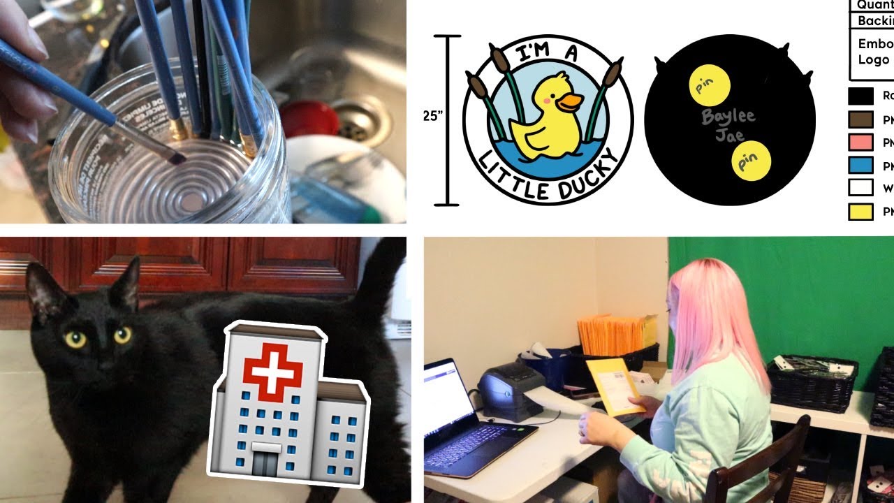 New Pin Designs, Kiki Vet Visit & Packaging Begins!