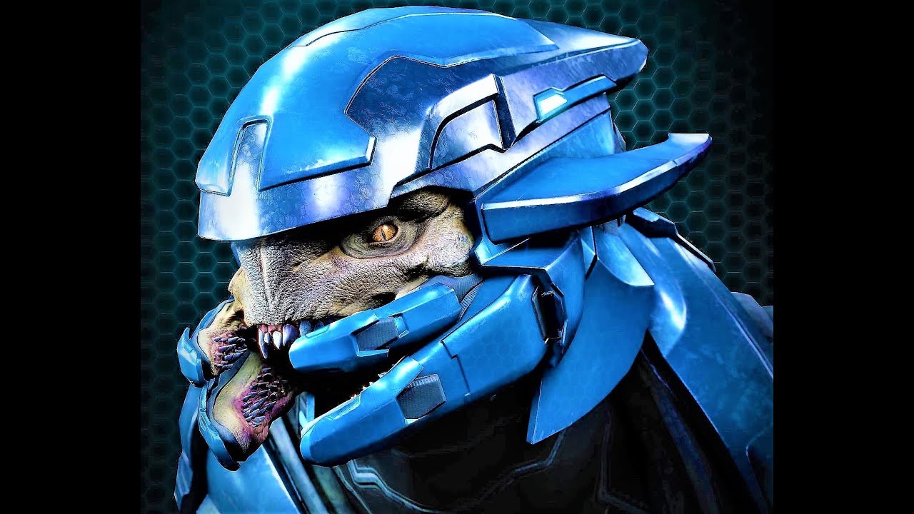 Halo Infinite Elite Evolution