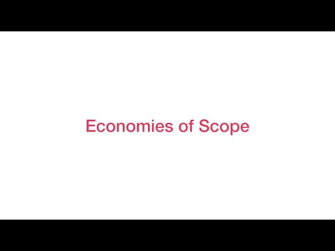 Yongwook Paik Defines Economies of Scope