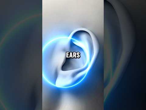 7 best foods for Ringing Ears (Tinnitus Relief!) and hearing problems 🌱#health #tinnitus