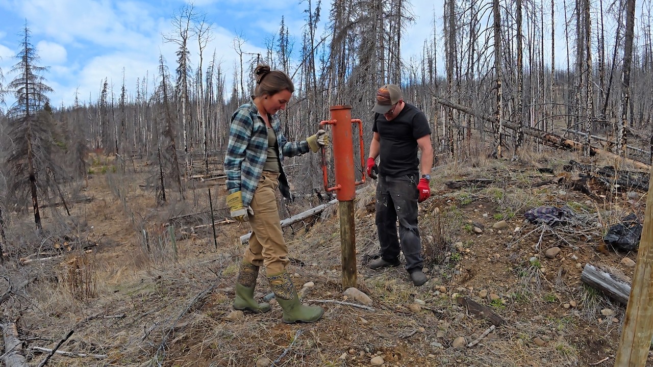 The Hard Way: Finishing the Fencing Without Machinery | We Got A New Bull!