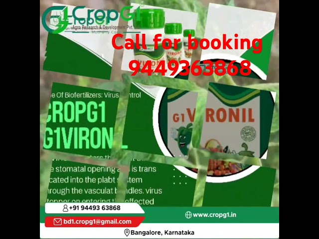 Plant Growth Promoter - Cropg1 Vironil- Chilly Special For Virus ...