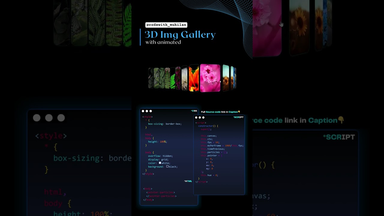 3D Image Gallery #codewith_muhilan #css #coding