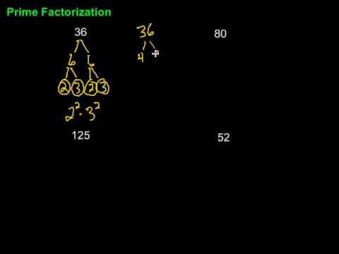 Prime Factorization