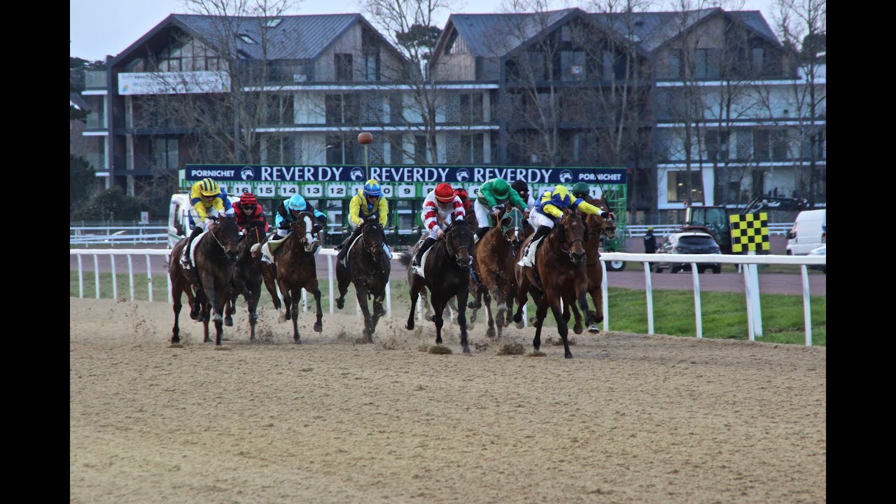 Une soirée en loge à l'Hippodrome de Pornichet