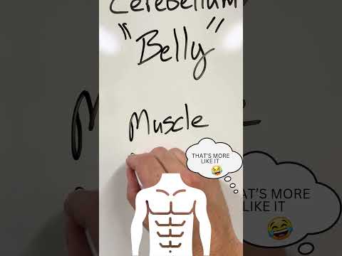 Cerebellum Functions Made Easy | Quick EMT Study Hack #nremt #emt #cardiology #emtb #medic