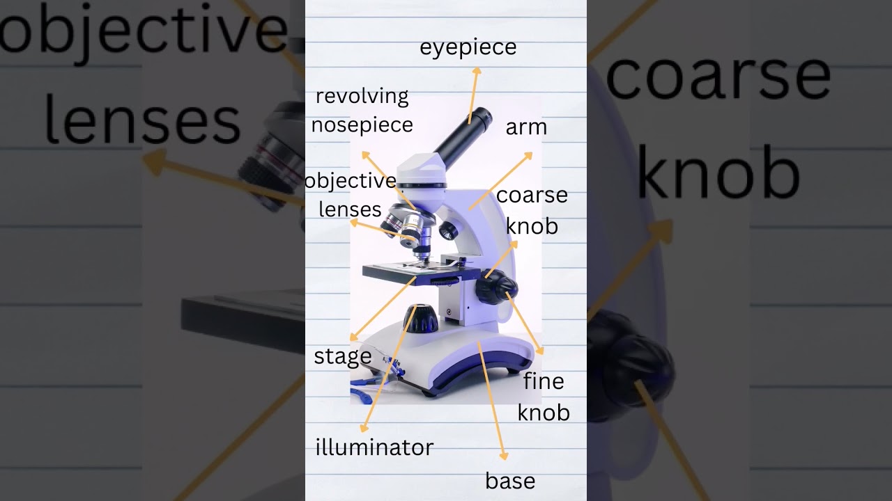 Parts of the microscope