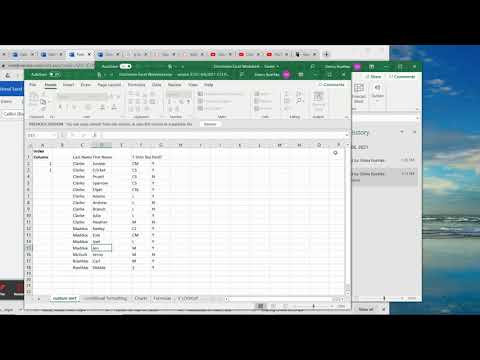 Version History Excel