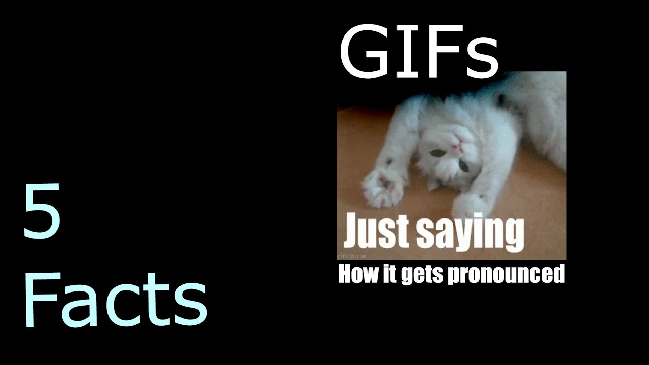 5 Fast Facts About GIFs