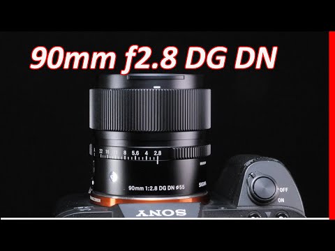 Sigma 90mm f/2.8 DG DN: Performs extremely well (261965)