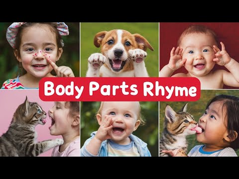 Point And Touch song For Babies ! Learn Body Parts with Rhyme For Pre-schoolers