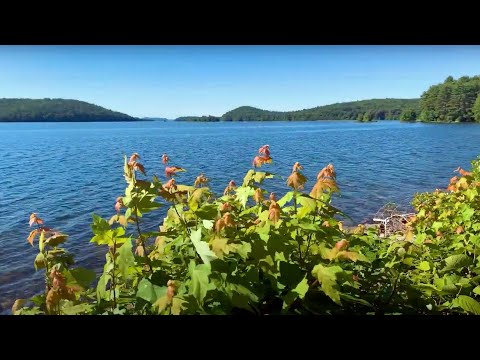 Understanding the Quabbin